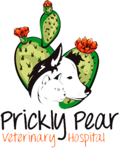 Prickly Pear Veterinary Hospital | Veterinarian in San Angelo, TX