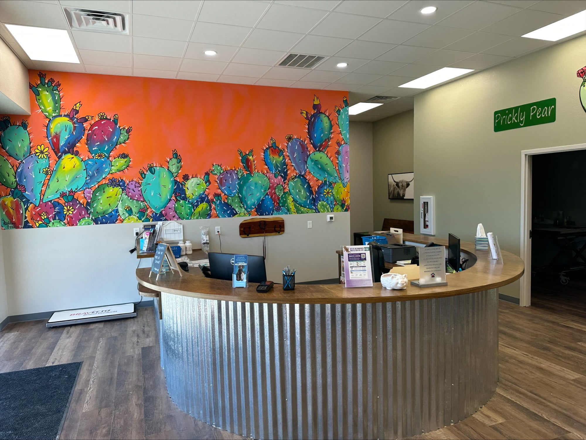 Virtual Tour - Prickly Pear Veterinary Hospital
