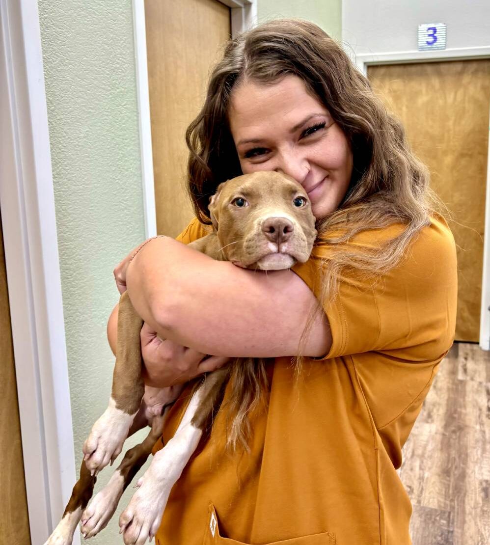 Meet Our Team - Prickly Pear Veterinary Hospital